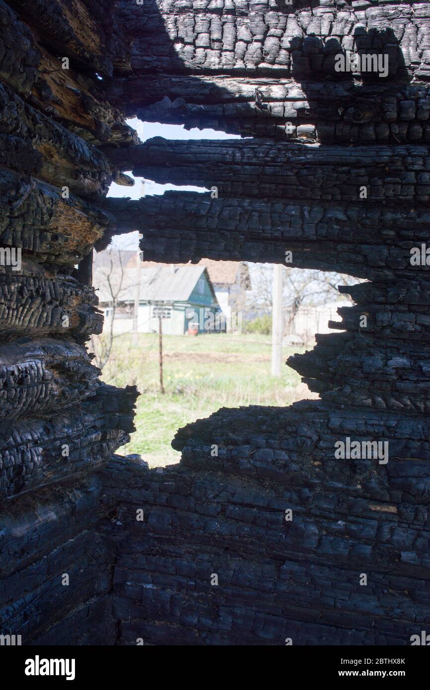 Natural fire ashes with dark grey black coals texture. It is a ...