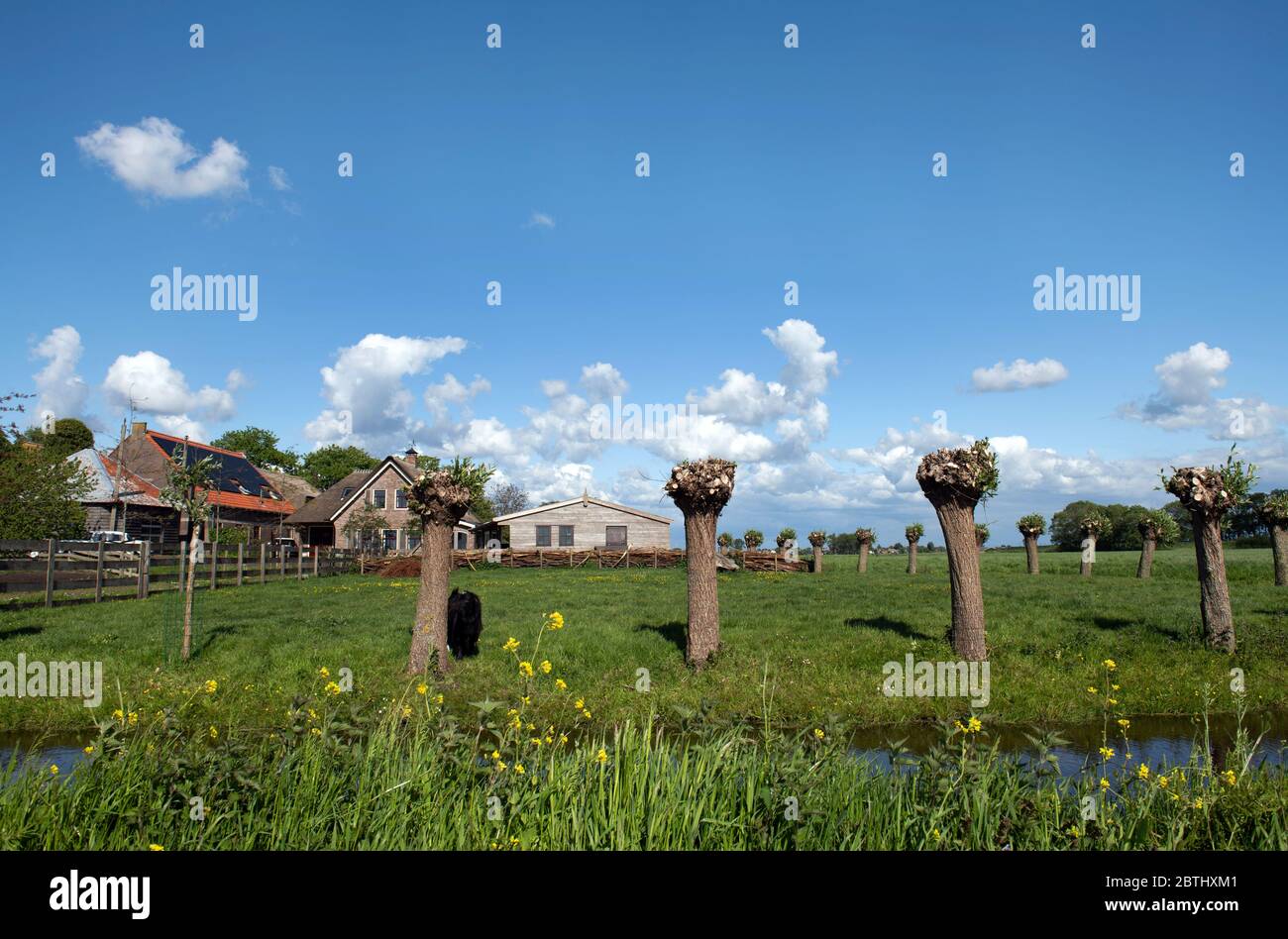 DUTCH COUNTRY HOUSE EXTERIOR INTERIOR Stock Photo - Alamy