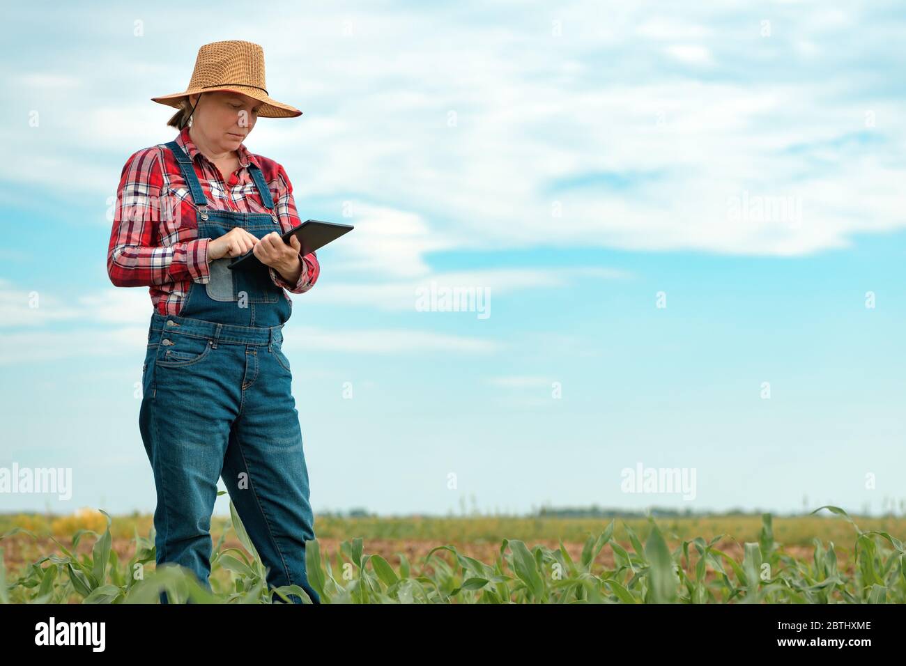 Agronomist farming hi-res stock photography and images - Alamy