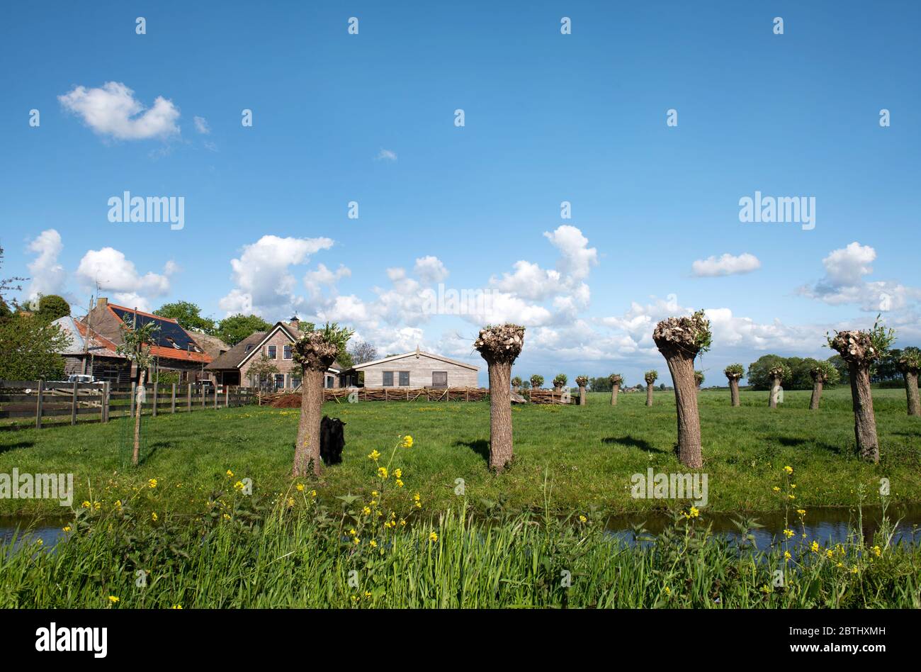 DUTCH COUNTRY HOUSE EXTERIOR INTERIOR Stock Photo - Alamy