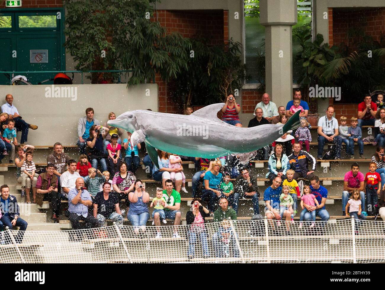 people watching dolphin show Stock Photo - Alamy