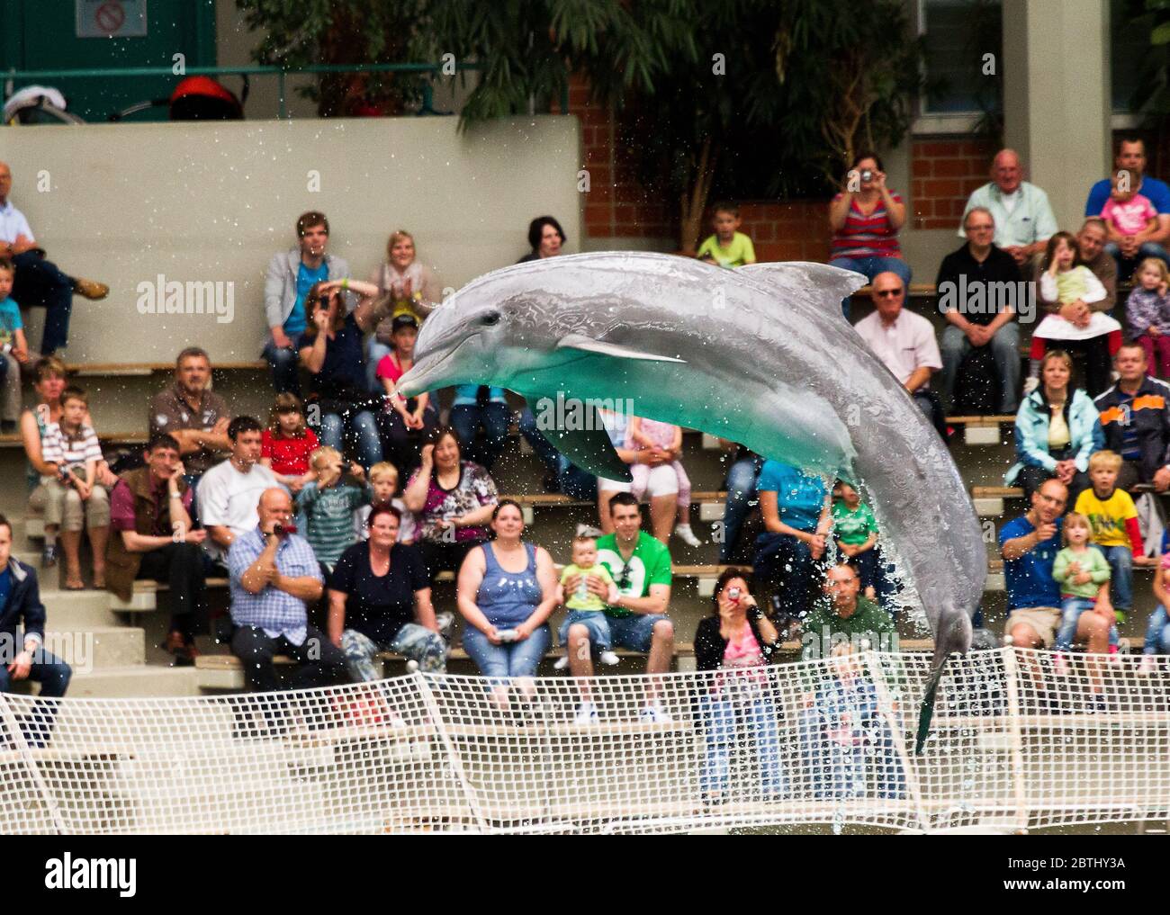 people watching dolphin show Stock Photo - Alamy
