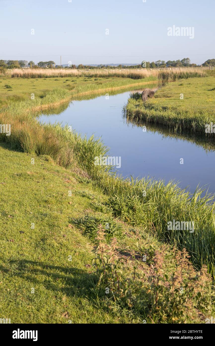 Marsh drainage hi-res stock photography and images - Alamy