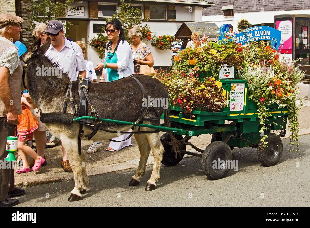 Donkey & Cart with Looe in Bloom display Stock Photo - Alamy