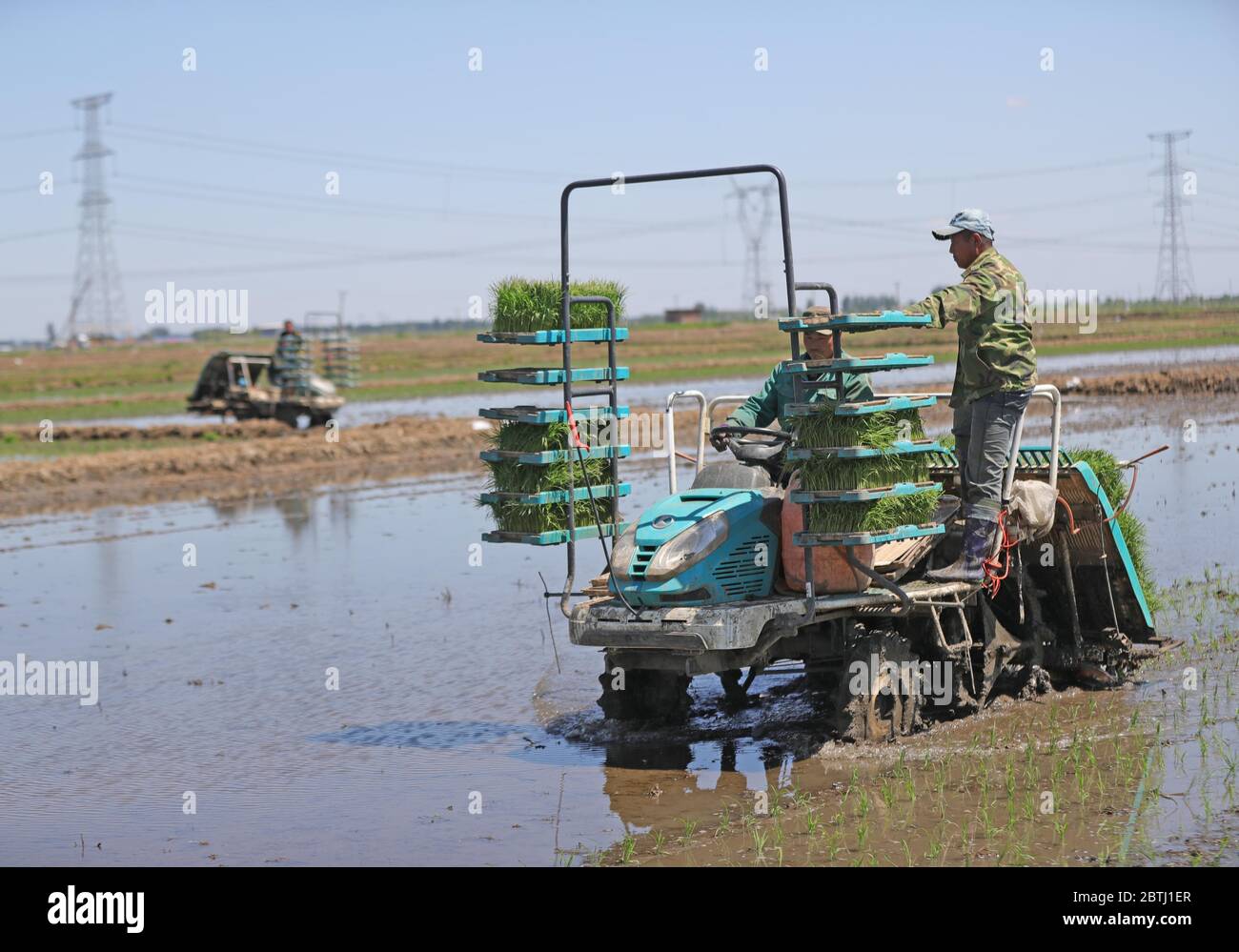 Transplanter plant rice hi-res stock photography and images - Alamy