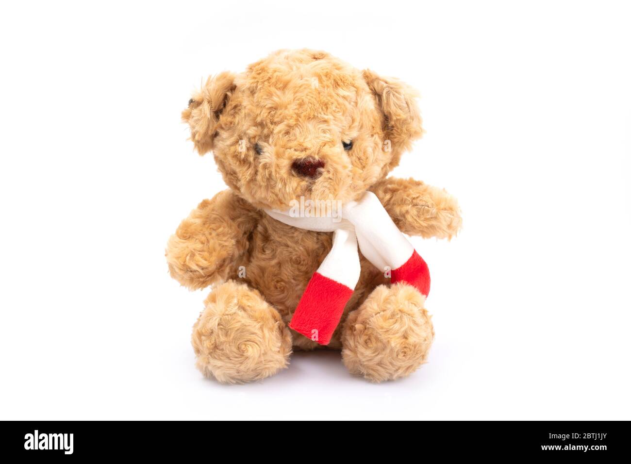 Single toy teddy bear isolated on white background Stock Photo - Alamy