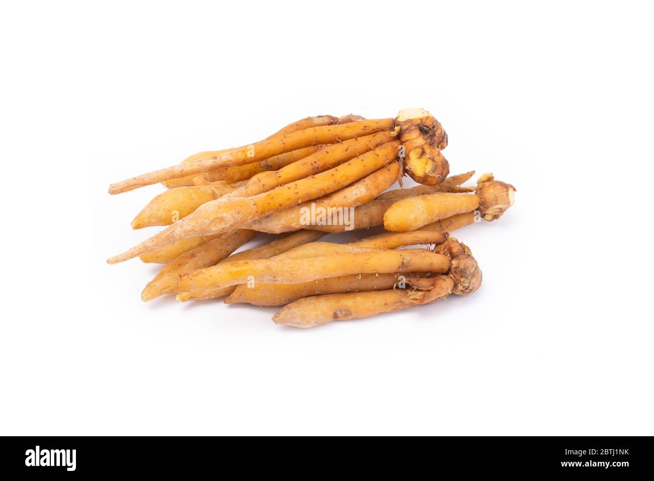 Fingerroot (Chinese's Ginger) isolated on white background Stock Photo ...