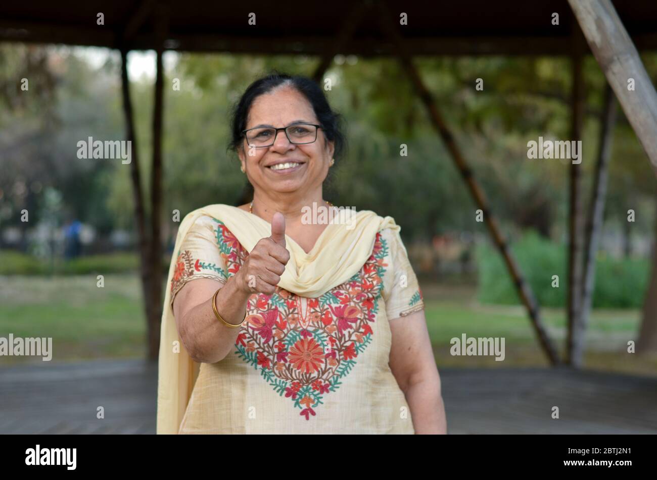 Portrait shot of a happy looking senior north Indian woman wearing ...