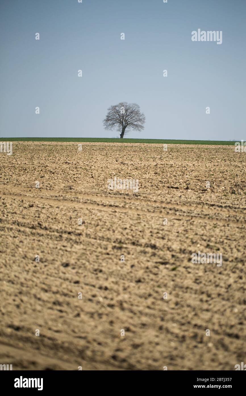 Barren farm land hi-res stock photography and images - Alamy