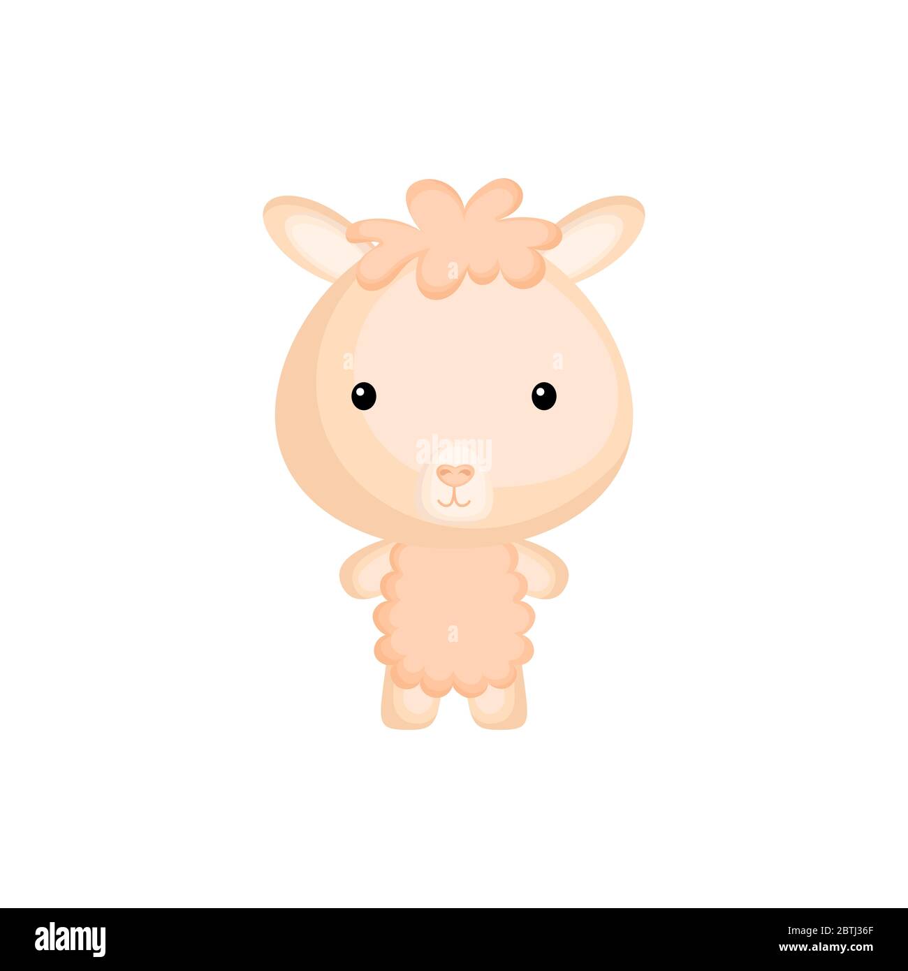 Cute funny baby llama or alpaca isolated on white background. Wild ...