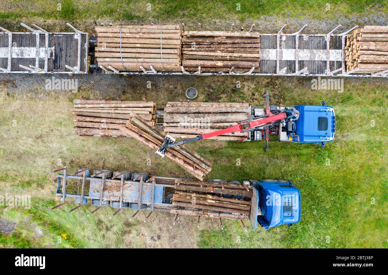 Timber transporters hi-res stock photography and images - Alamy