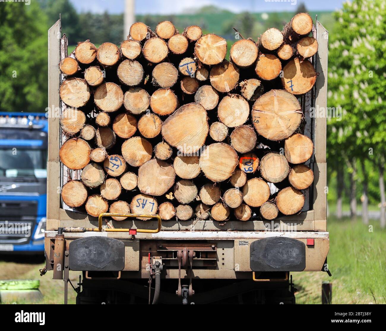 26 May 2020, Saxony, Pockau-Lengefeld: Logs lying on a freight train ...