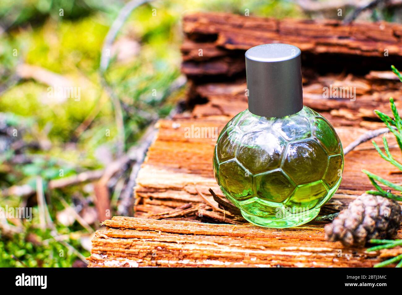 Perfume bottle on a natural background. Natural ingredients and eco ...