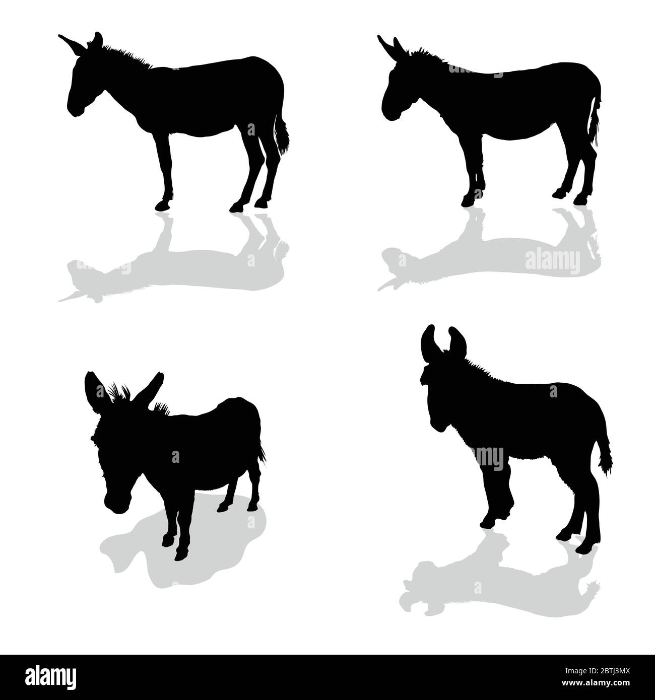 Donkey animal silhouette on Stock Vector Images - Alamy