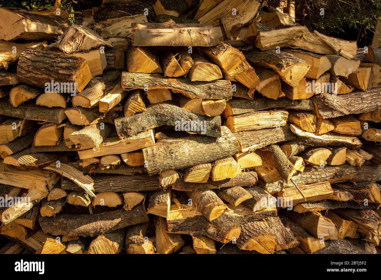 Oak logs hi-res stock photography and images - Alamy