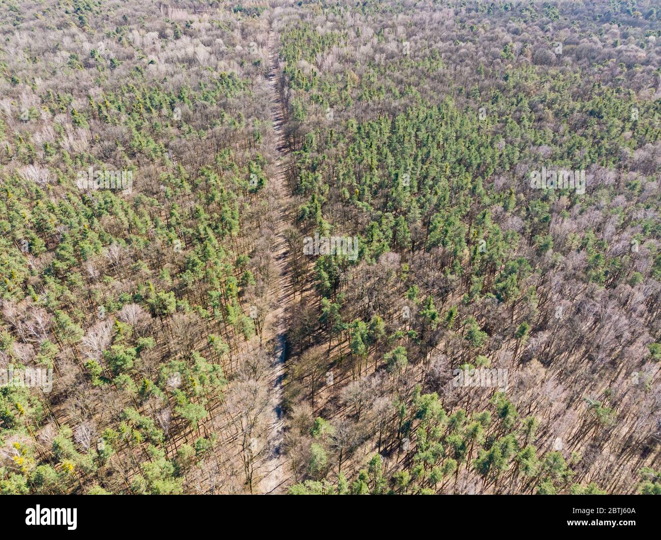 Pine forest aerial hi-res stock photography and images - Alamy