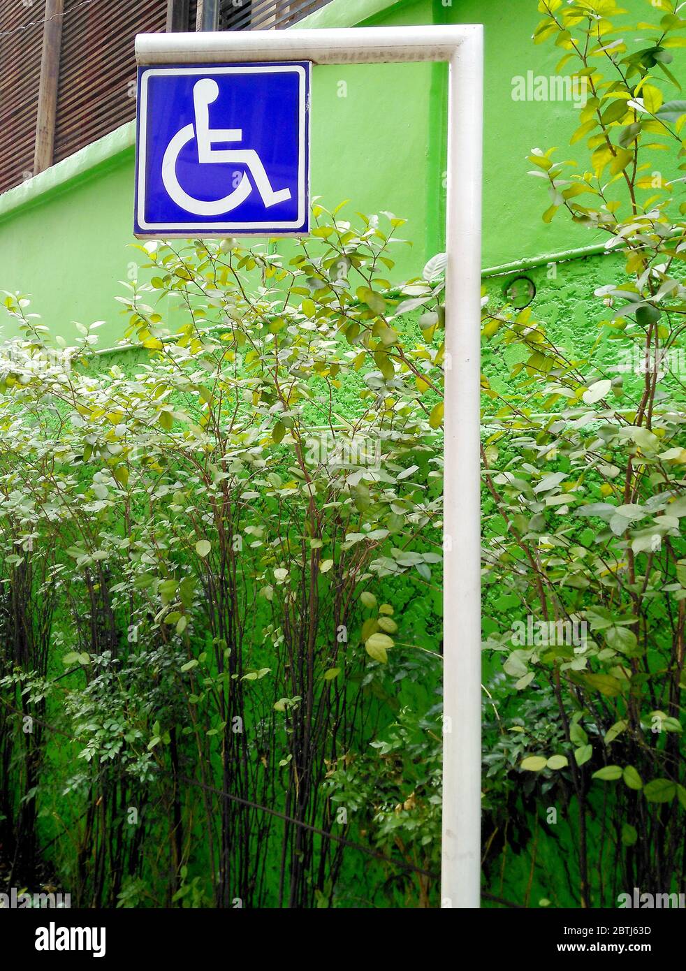 Green area for the disabled Stock Photo - Alamy