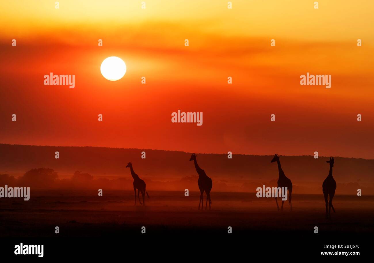 Nairobi kenya sun sets hi-res stock photography and images - Alamy