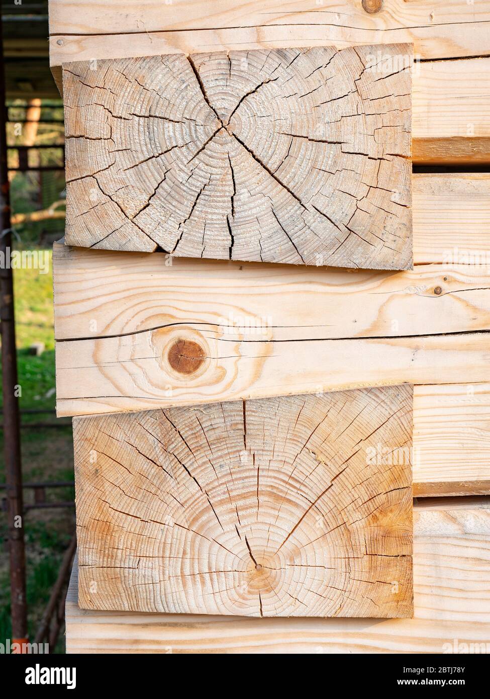 Smooth spruce logs joined together in the corner of wooden logs house ...