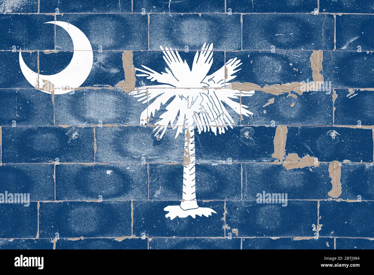 Palm Tree And Crescent Moon Symbol