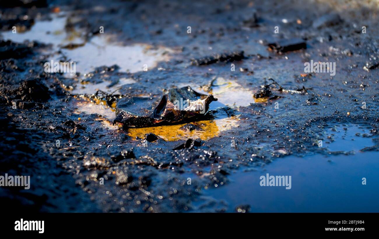 Chemical waste disposal site hi-res stock photography and images - Alamy