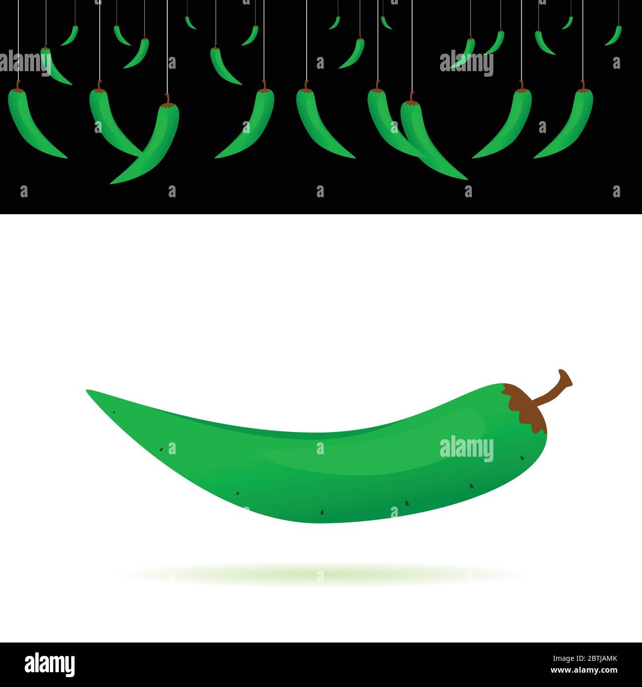 green chillies vector illustration Stock Vector Image & Art - Alamy