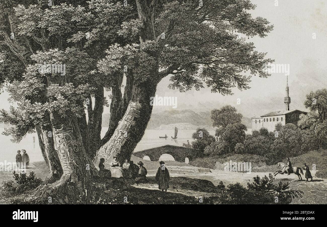 Ottoman Empire. Turkey. 40 plane trees of Godfrey of Bouillon. Prairie ...