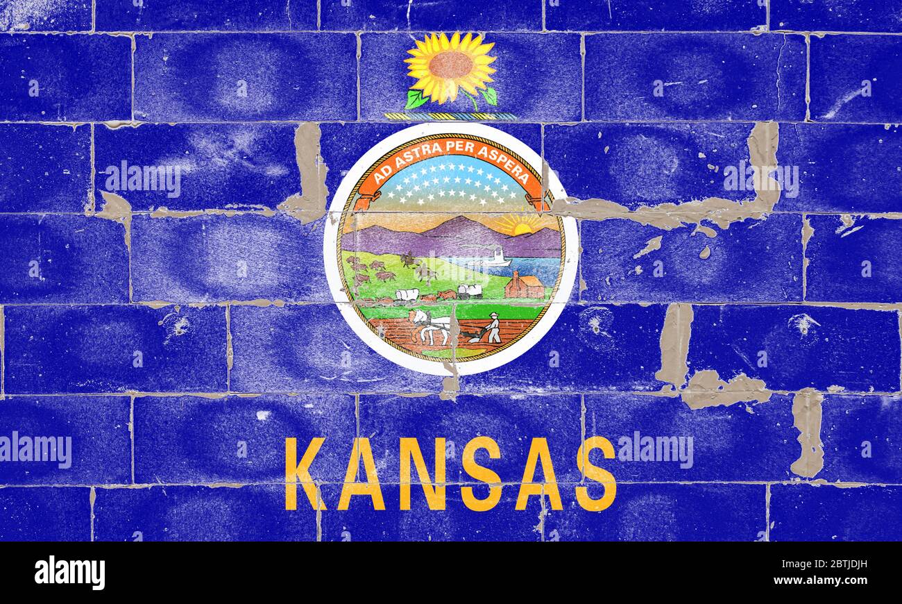 The national flag of the US state of Kansas with a sunflower flower at ...