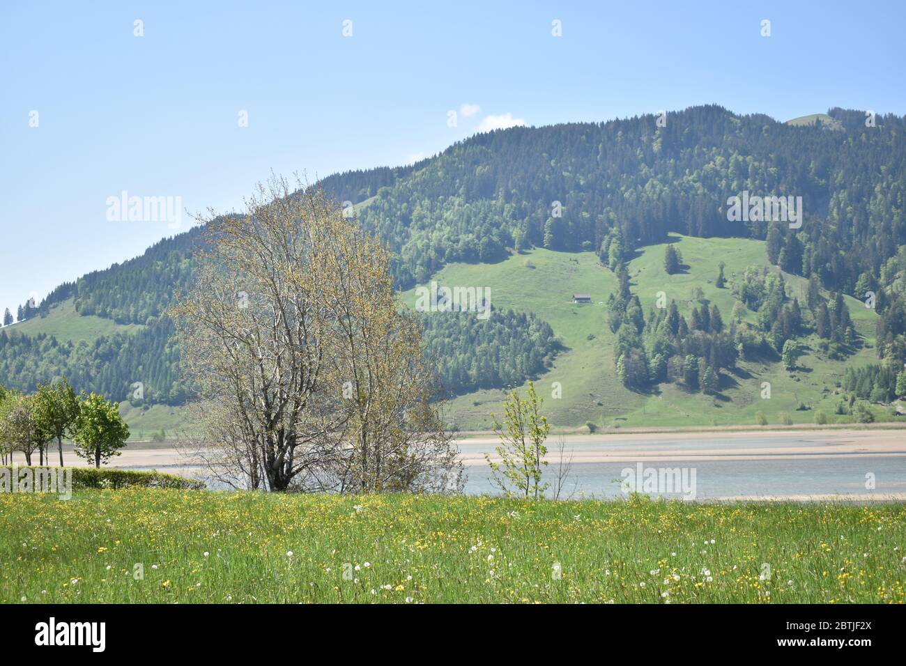 Beautiful landscape at the Sihlsee in Switzerland Stock Photo - Alamy