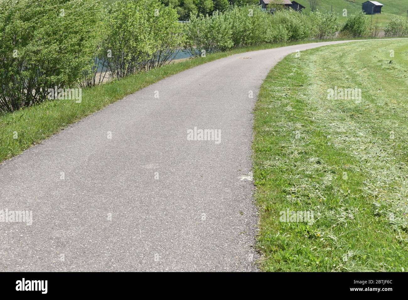 Small walkway in the nature of Switzerland Stock Photo - Alamy