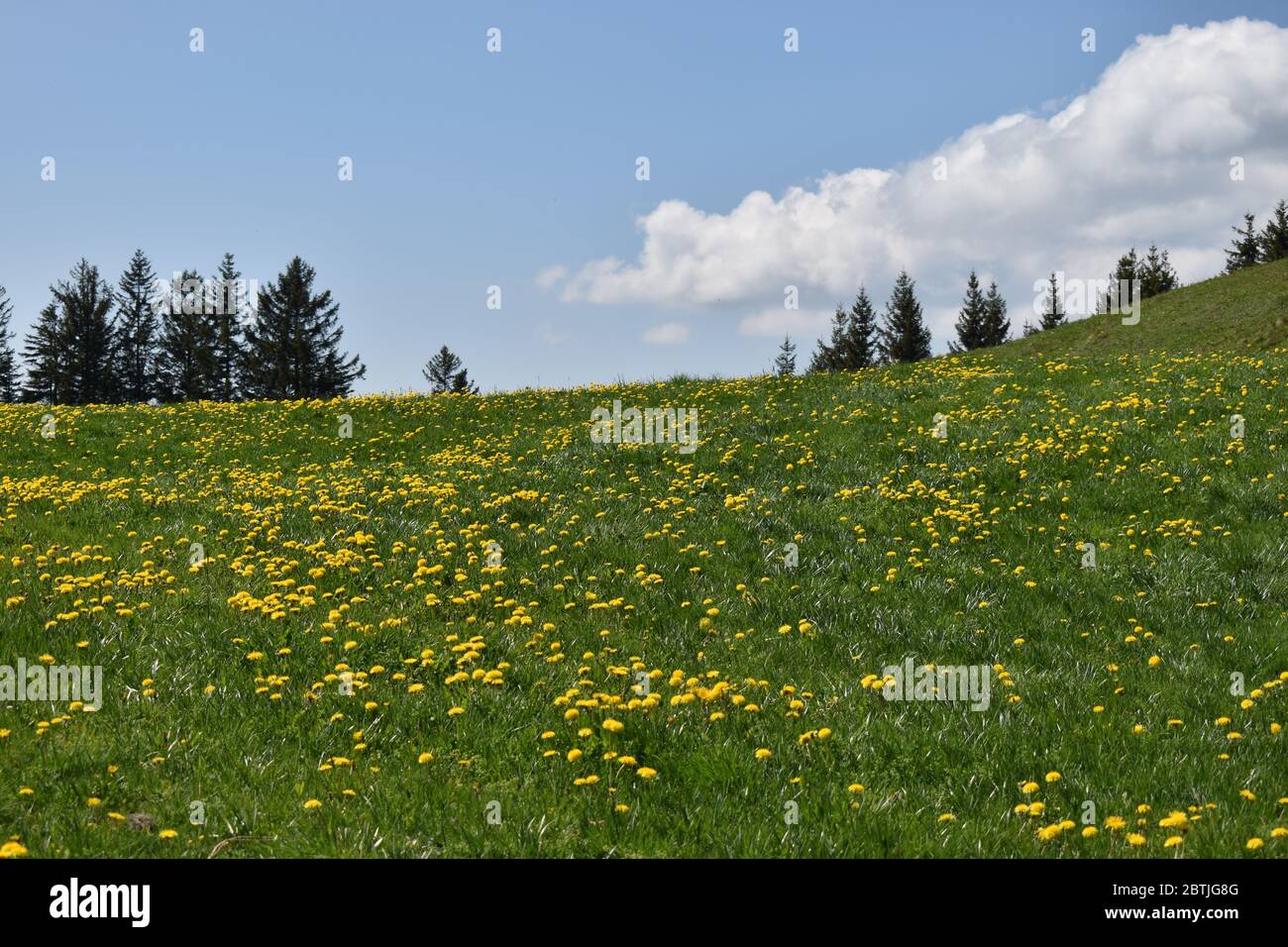 Save save save panorama hi-res stock photography and images - Alamy