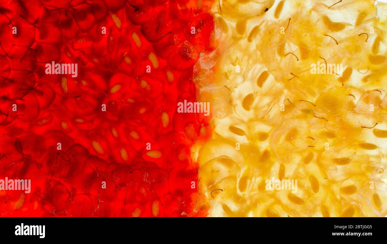 Abstract image of red and yellow crushed berries. COncept of mixing and ...