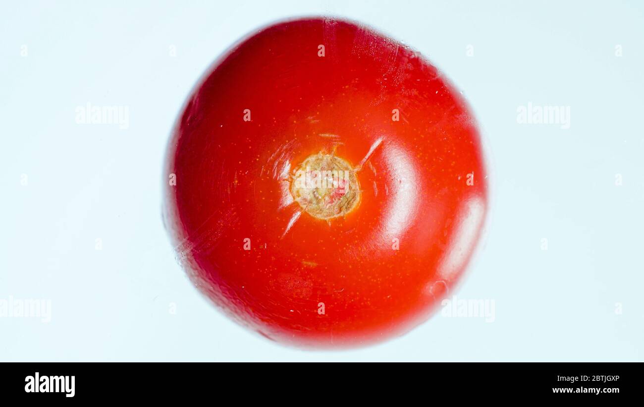 Macro photo of fresh ripe red tomato bottom over white background ...