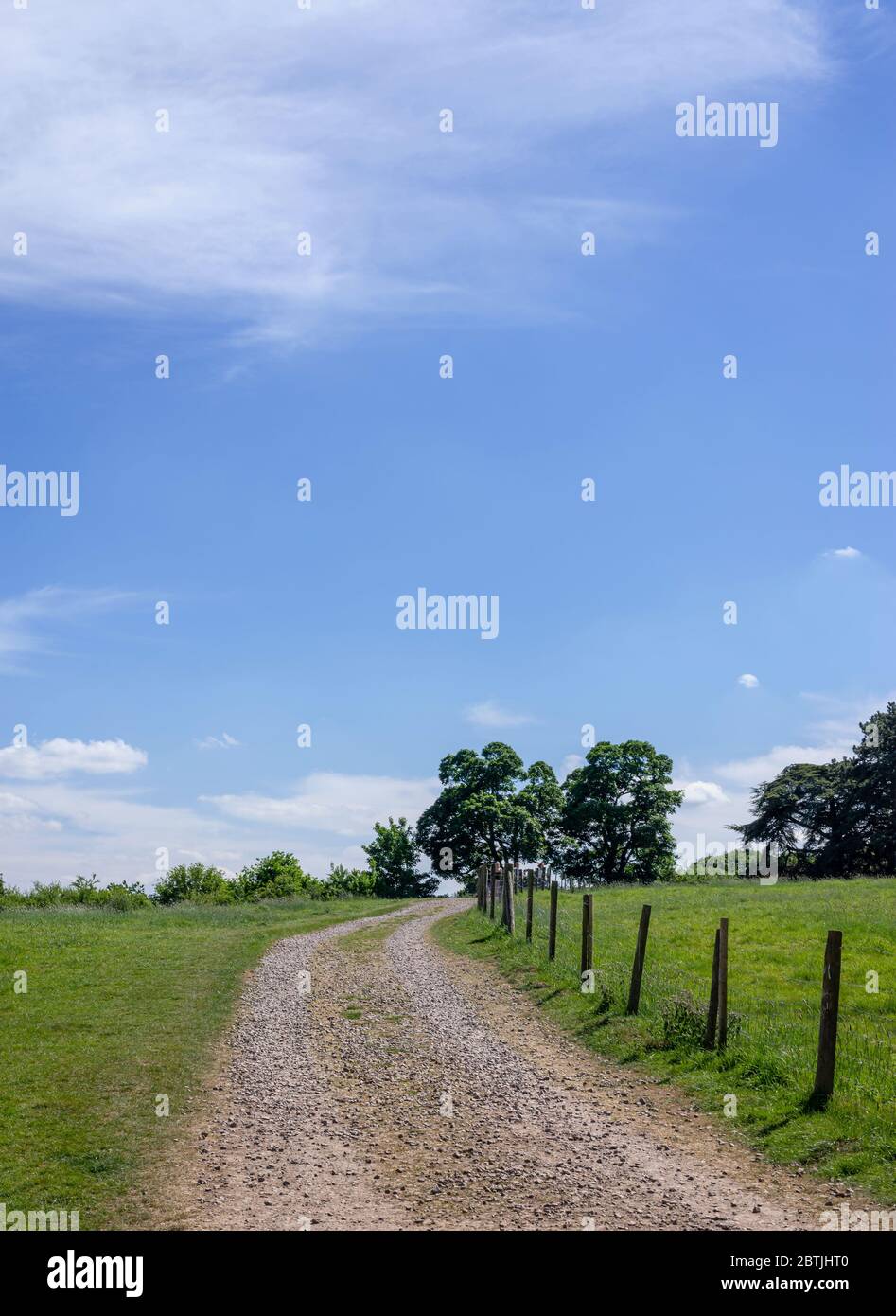 Field path with gravel and foliage and trees hi-res stock photography ...