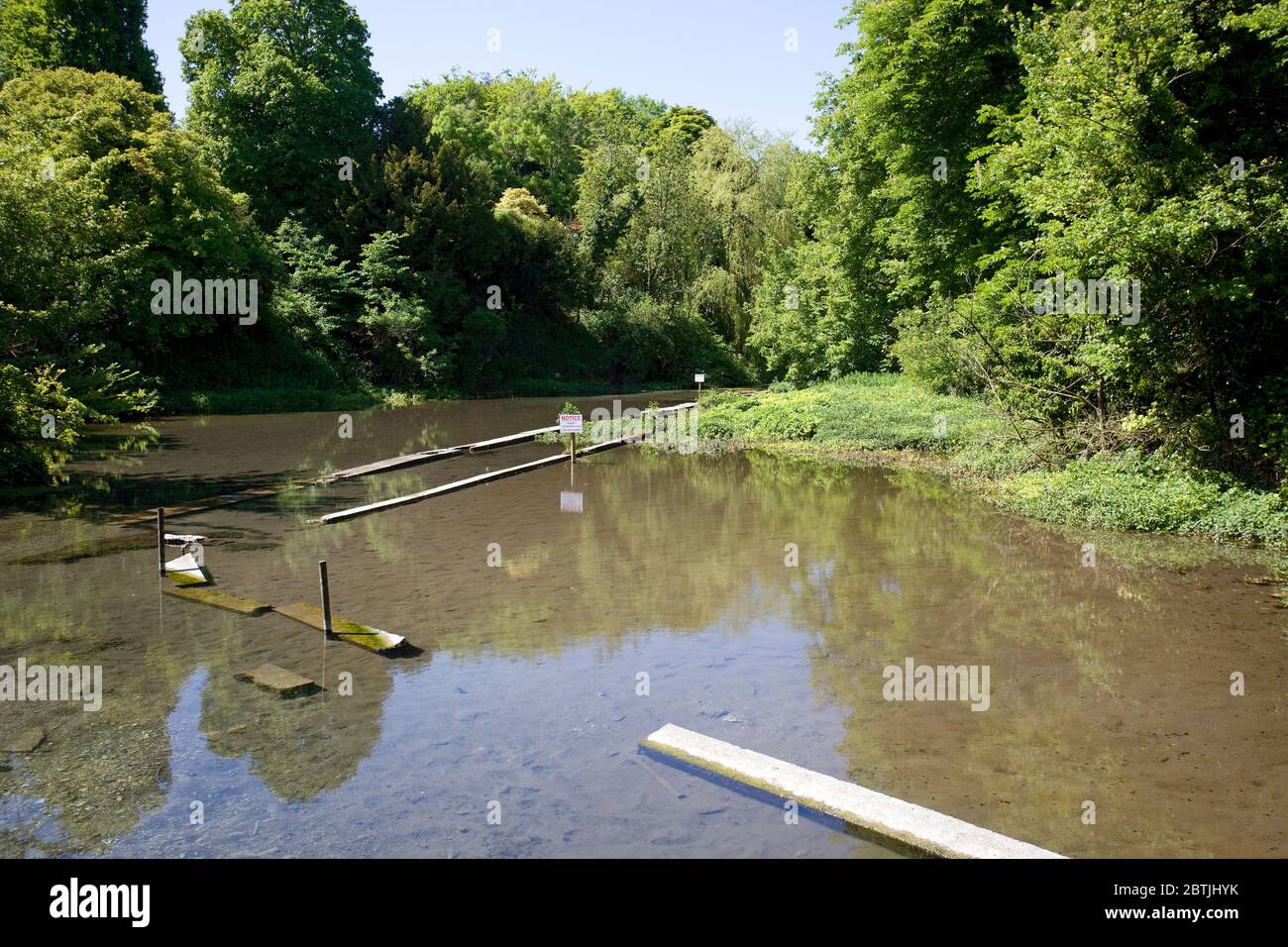Water Cress beds at Letcombe valley,Oxfordshire,England Stock Photo - Alamy