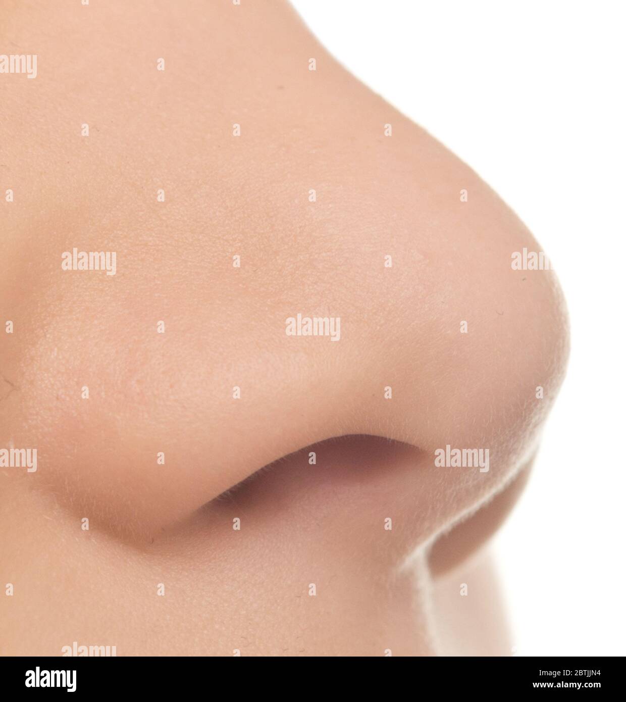 Nose isolated on white background Stock Photo - Alamy