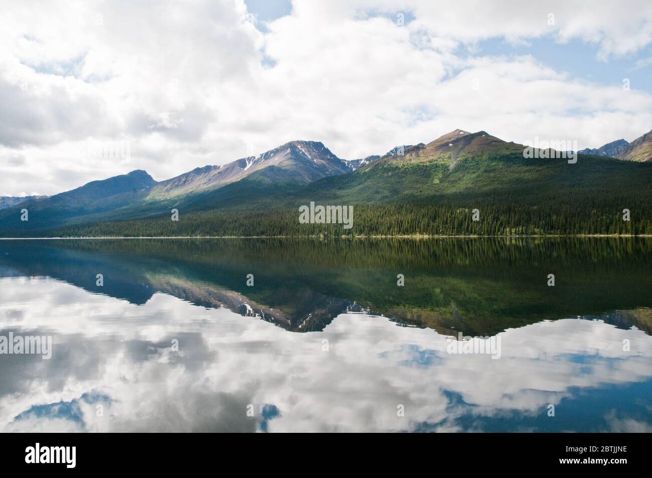 A reflection of the Stikine Mountains and forest in Cold Fish Lake ...