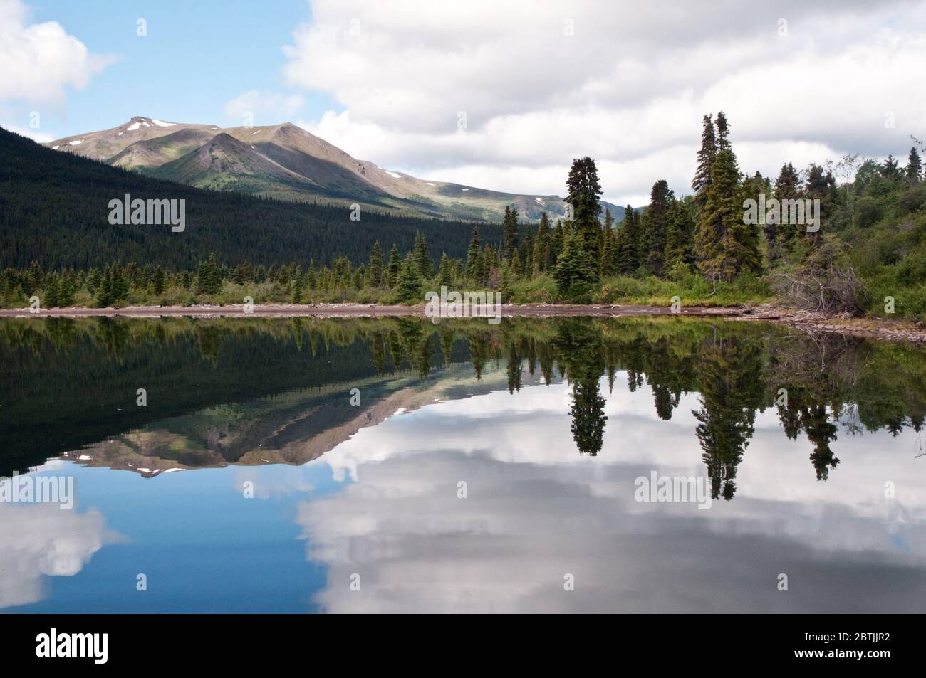 A reflection of the Stikine Mountains and forest in Cold Fish Lake ...