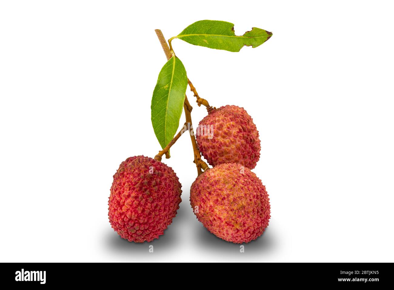 Group of lychee , litchi chinensis, with leaves on white background ...