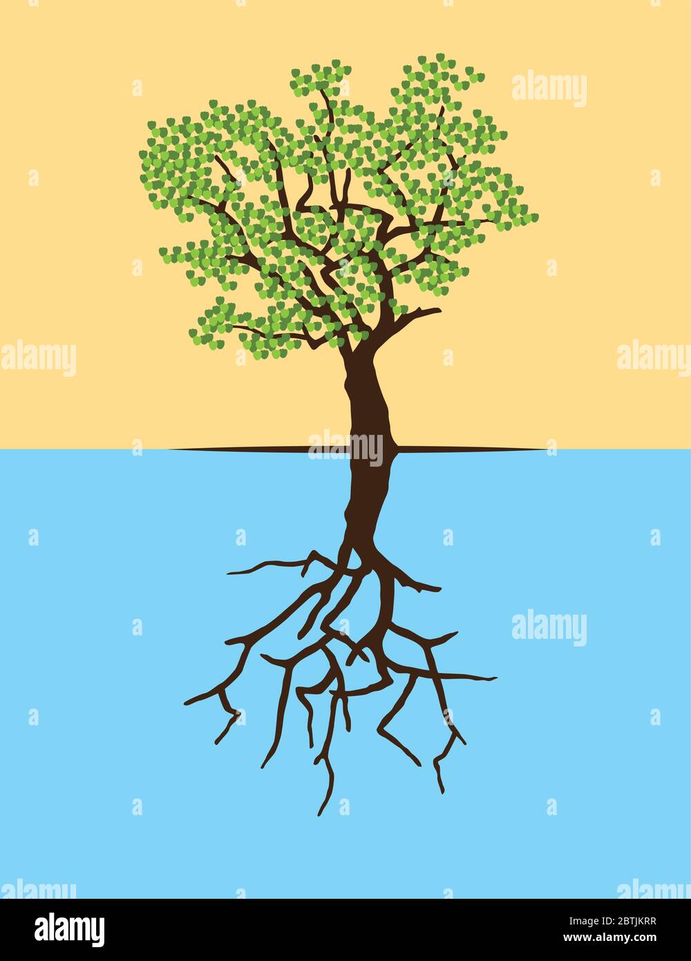 tree silhouette summer and winter reflection vector illustration EPS10 ...