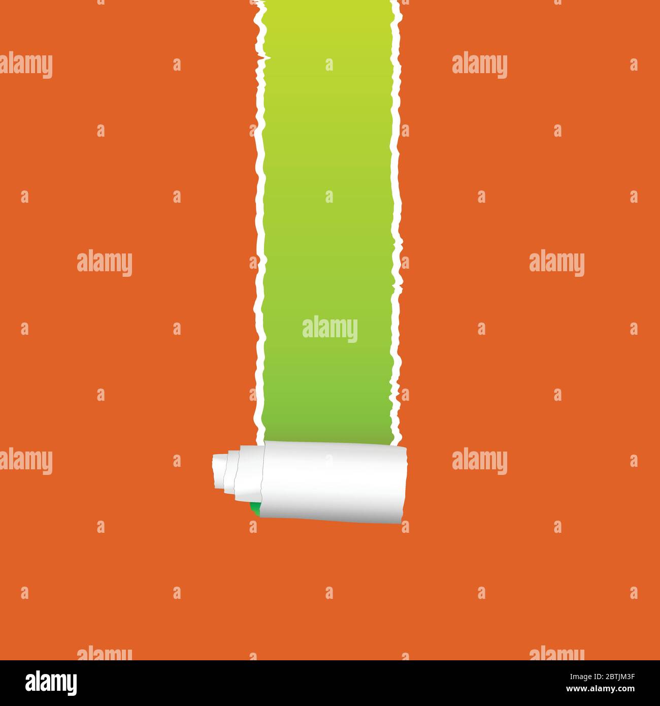longitudinal splitting of the paper vector illustration on a color ...