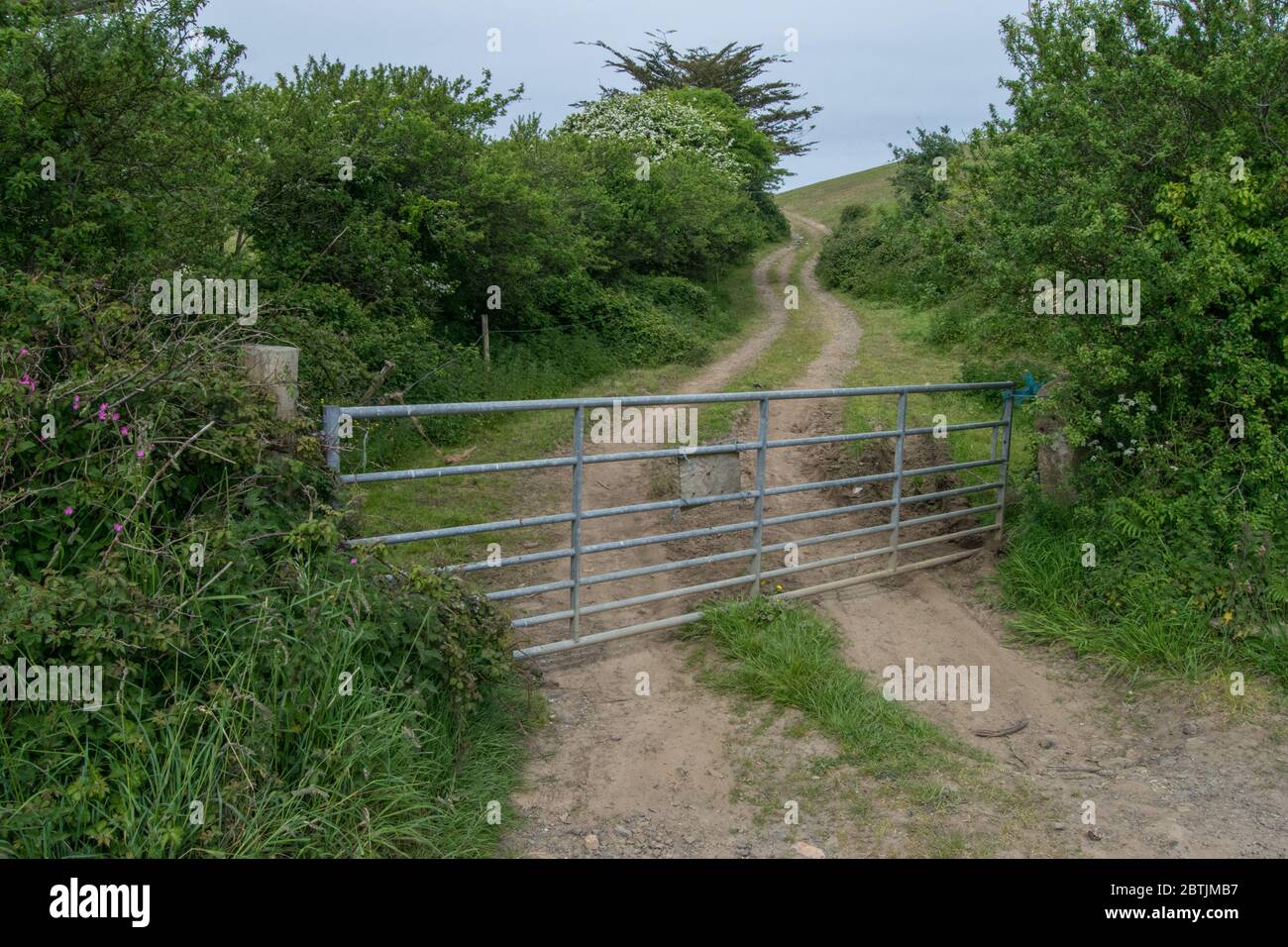 Gateway scene hi-res stock photography and images - Alamy