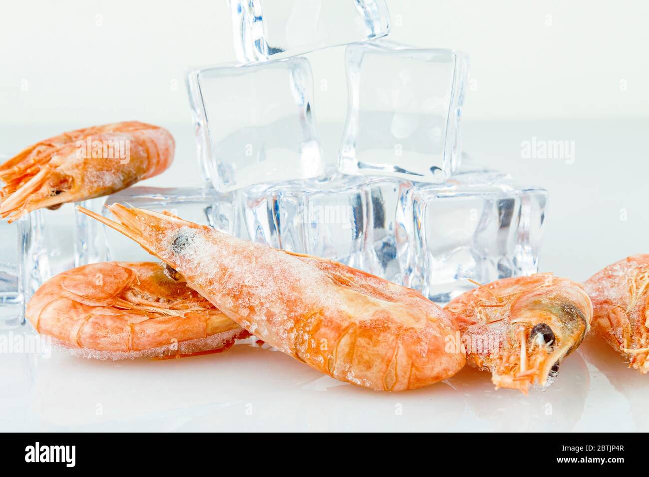 Shrimp on ice cubes background, isolated on white Stock Photo - Alamy