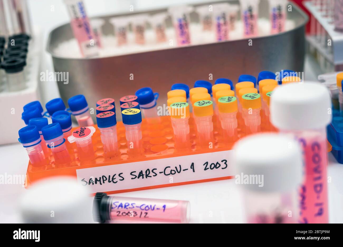 Vials with samples of SARS-COV-1 in a research laboratory, conceptual ...