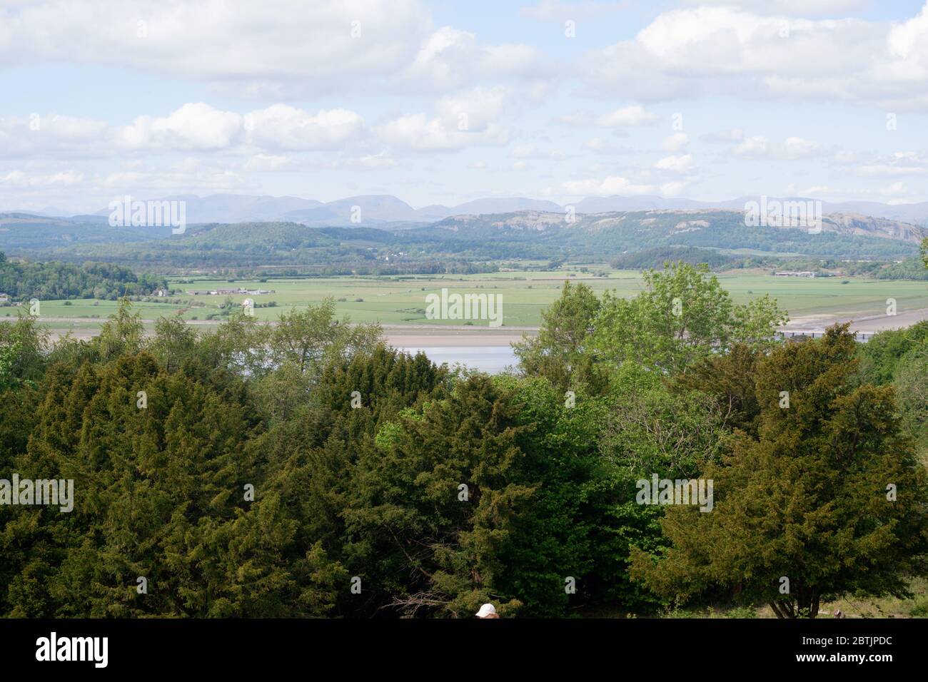 Morecambe Bay Esturary from Arnside Knott with trees in foreground ...