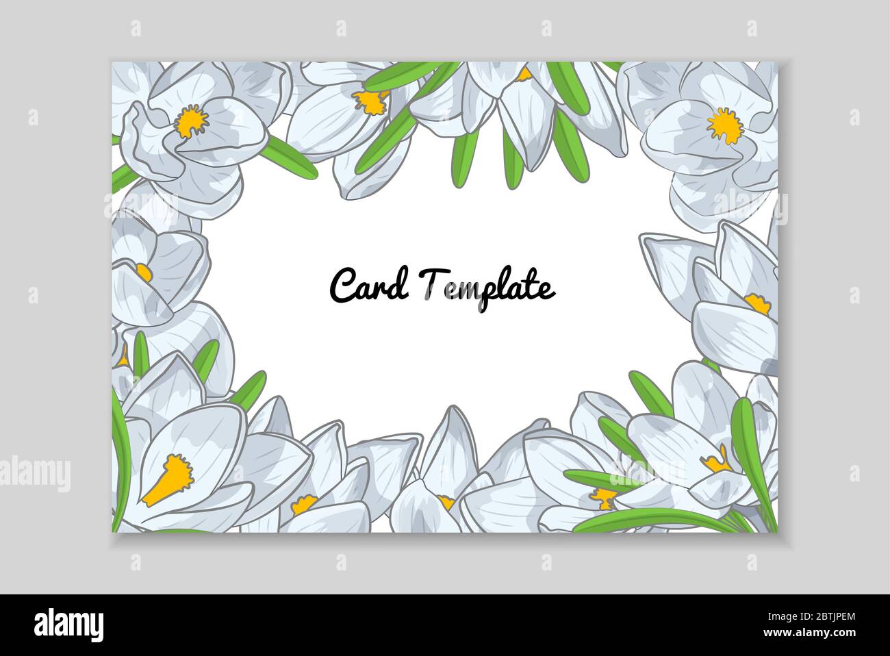 Rectangular card frame with white hand drawn crocus flower arrangement ...