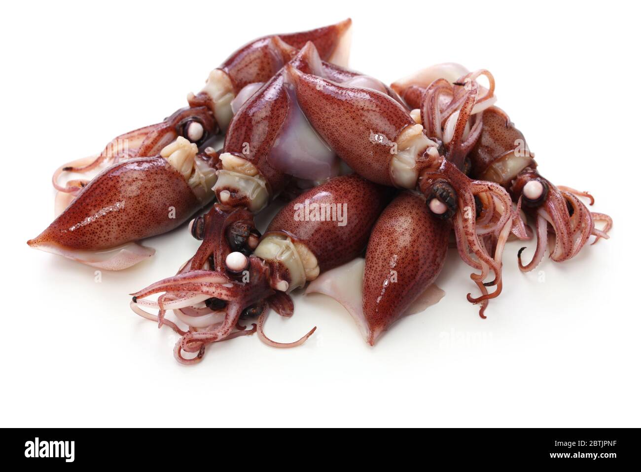 Firefly hotaru ika squid japanese hi-res stock photography and images ...