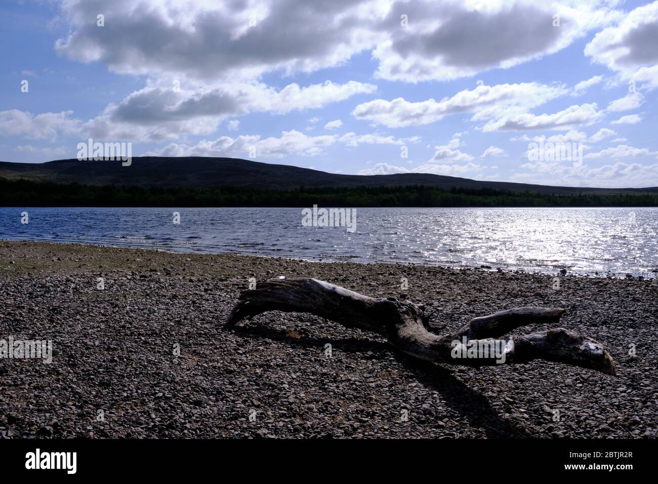 A shot of the lough shore at the Northern Irish Water reservoir, Lough ...