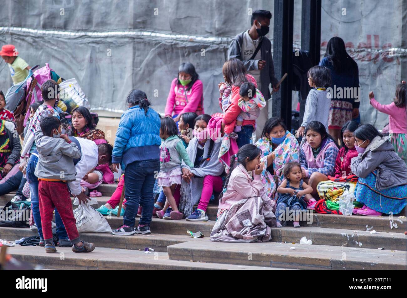 Chami hi-res stock photography and images - Alamy