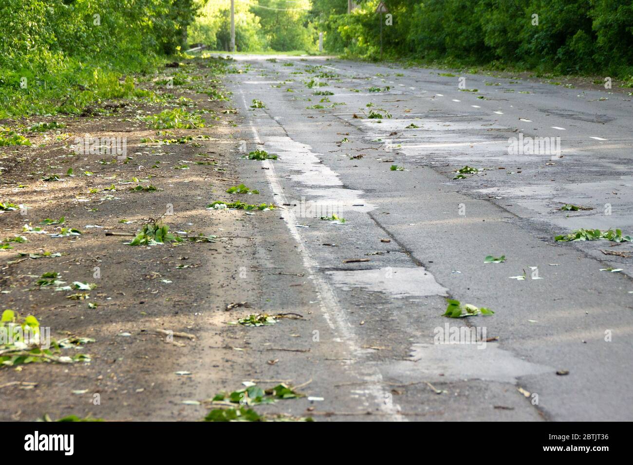 the consequences of a strong wind breaking trees in Siberia in Kemerovo ...
